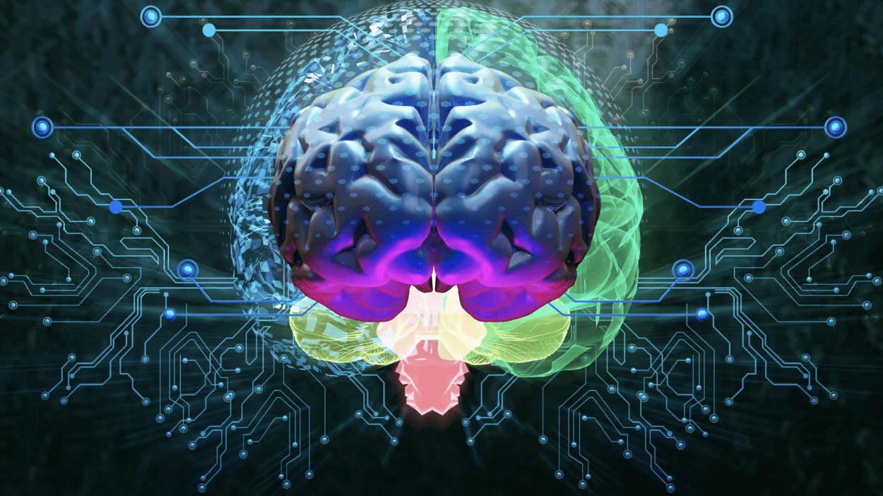 Unlocking the Brain-Body Connection: How Corrective Chiropractic ...